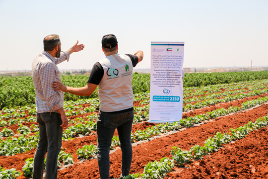 الأخبار :: أخبار الخيرية :: Supporting Small Farmers Project ...